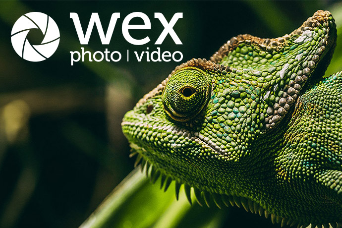 Wildlife | Wex Photo Video