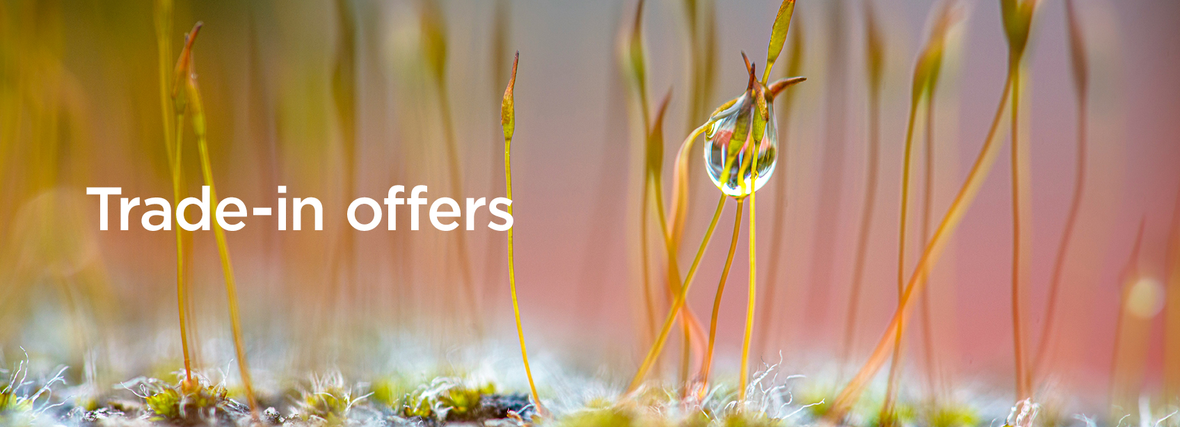 Trade-in Bonuses | Wex Photo Video