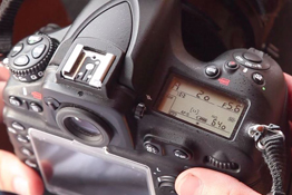 Life in the Wild Part 5: Basic Camera Settings for Wildlife Photography ...