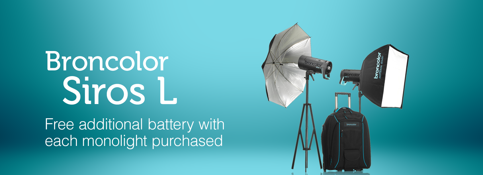 Flash Heads | Lighting and Studio | Wex Photo Video