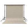 Calumet Oyster 1.35m x 11m Seamless Background Paper | Wex Photo Video