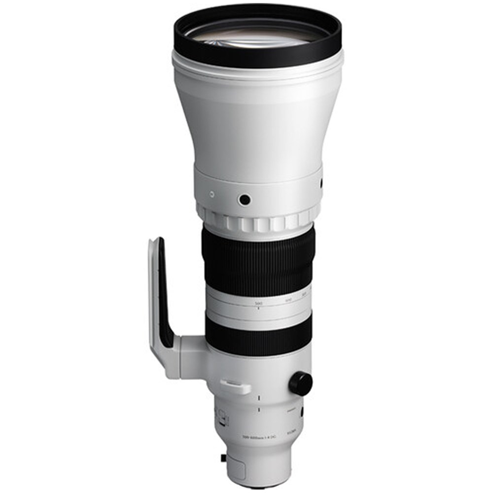 Sigma 300-600mm f4 DG OS Sports Lens for Sony E | Wex Photo Video